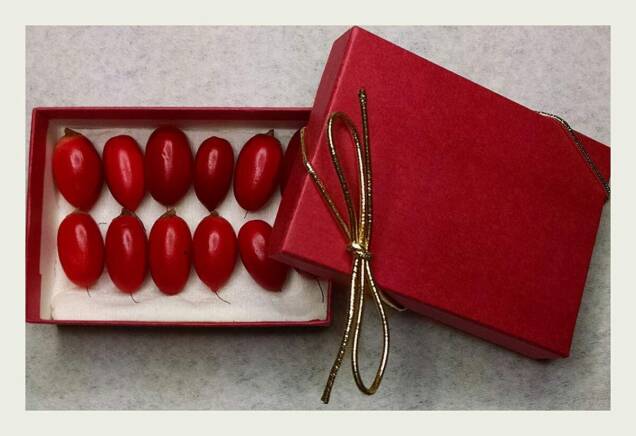 The Complete Guide to Miracle Berries and Flavor Tripping