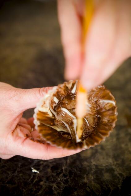 How to Make Chocolate Cups - It's Shockingly Simple