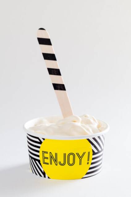 Copycat Ted Drewes Frozen Custard - Cupcake Project