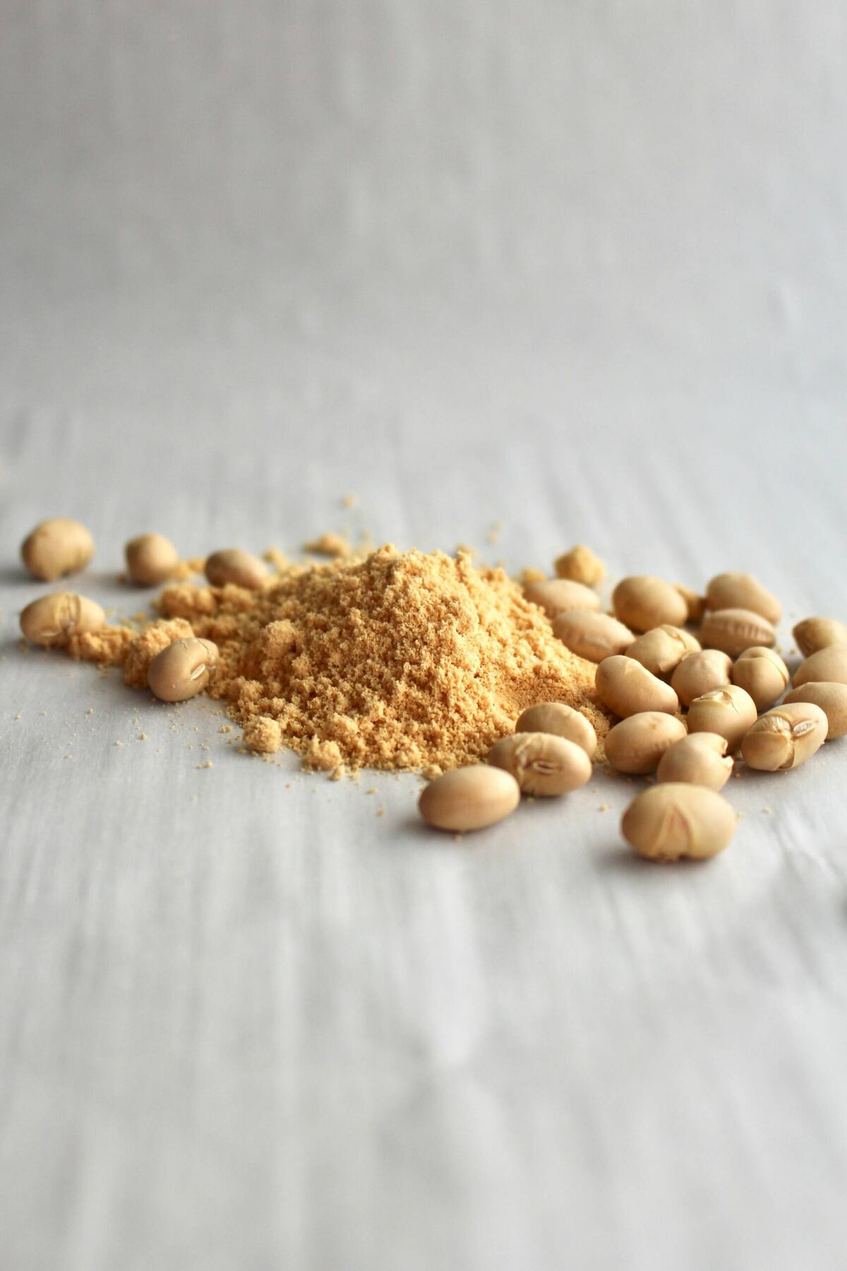 What is Kinako and How to Use It | Cupcake Project