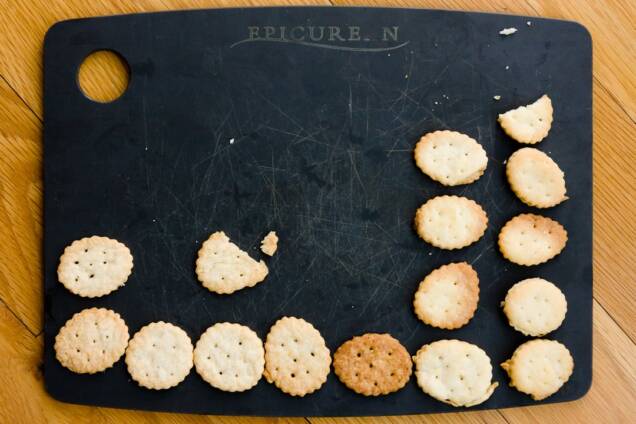 Homemade Ritz Crackers Recipe
